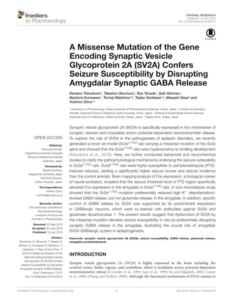 Pdf A Missense Mutation Of The Gene Encoding Synaptic Vesicle Glycoprotein 2a Sv2a Confers