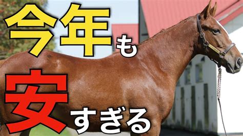 今年も激安募集の季節が来た！シニミニ産駒が最安価で持てる。 Youtube
