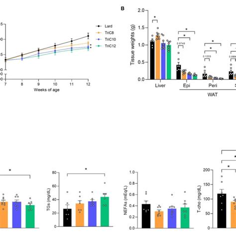 Medium Chain Triglyceride Mct Intakes Suppresses Body And Fat