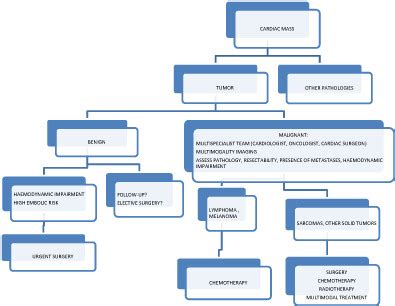 Multimodality Imaging Approach In Diagnosis And Therapy Of Various