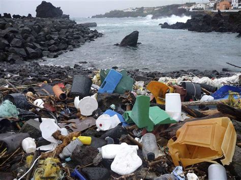 Eleven Billion Pieces Of Plastic Bring Disease Risk To Coral Reefs