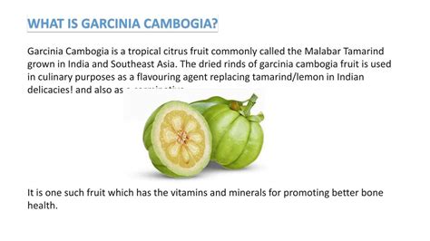 Ppt Top Garcinia Cambogia Extract Brands In India Powerpoint