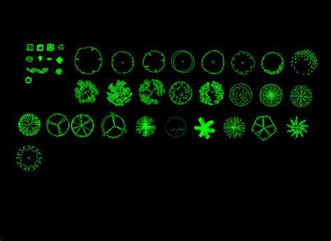 Trees DWG Block For AutoCAD Designs CAD