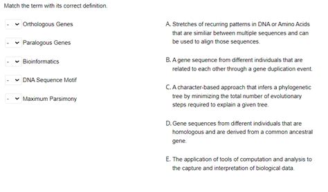 Match The Term With Its Correct Definition