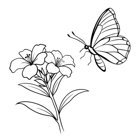 A Butterfly Is Extracting Nectar From A Oleander Flower Illustration Line Art 50991506 Vector