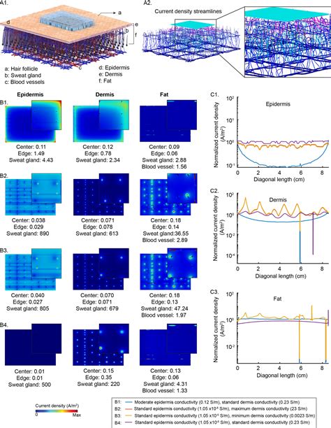 New Paper Role Of Skin Tissue Layers And Ultra Structure In