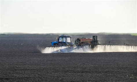 Kochia Preplant Burndown Management For 2024