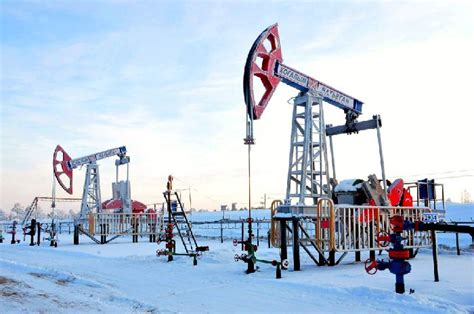 Природные ресурсы Сибири кратко список для сообщения 9 класс география