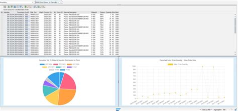 New Product By Sagesse Tech Automated Audit Tool For Sap