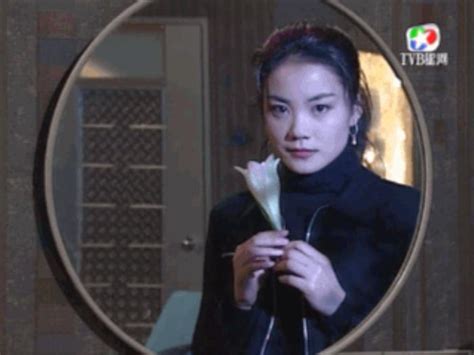 原振侠电视剧（王菲早期演过的4部电视剧）可可情感网