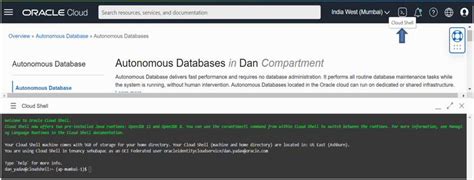 Steps To Manage Autonomous Database From Oci Cloud Shell Learn2skills