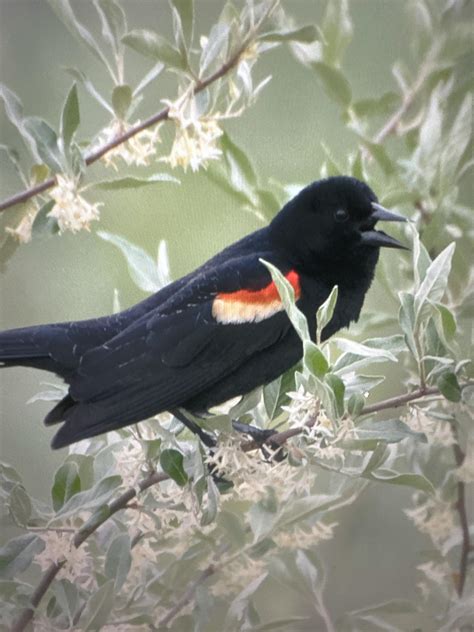 Michael Taccetta Fotografía