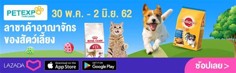 Lazada Th Special Campaign Bobbi Brown Official Store Grand Opening