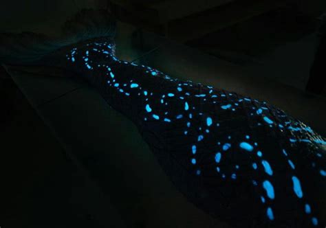 Pin By Nella Mio On Silicone Mermaid Tails Silicone Mermaid Tails