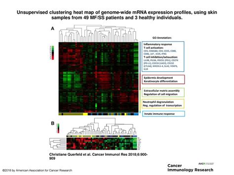 Unsupervised Clustering Heat Map Of Genome Wide MRNA Expression Profiles Using Skin Samples