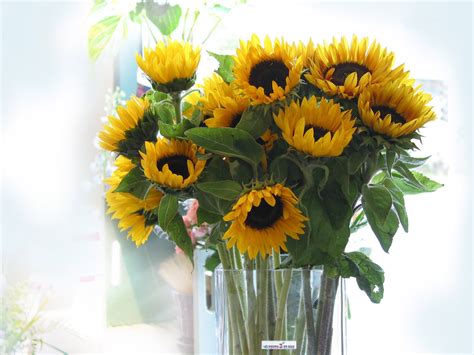 Картинки гарного ранку 69 фото