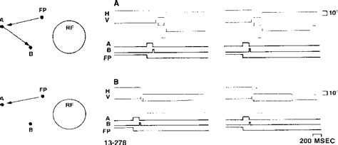 Figure 7 From Primate Frontal Eye Fields Iii Maintenance Of A Spatially Accurate Saccade