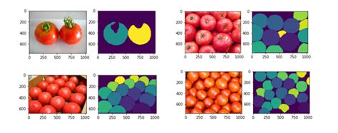 Speed Up Your Image Segmentation Workflow With Model Assisted Labeling