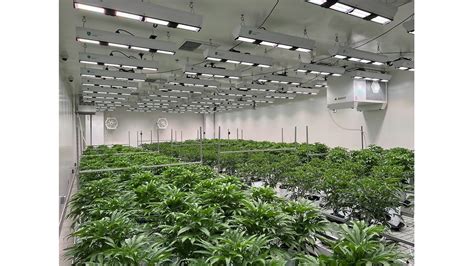 Precise Grow Environments From Precise Hvac Tech Achr News