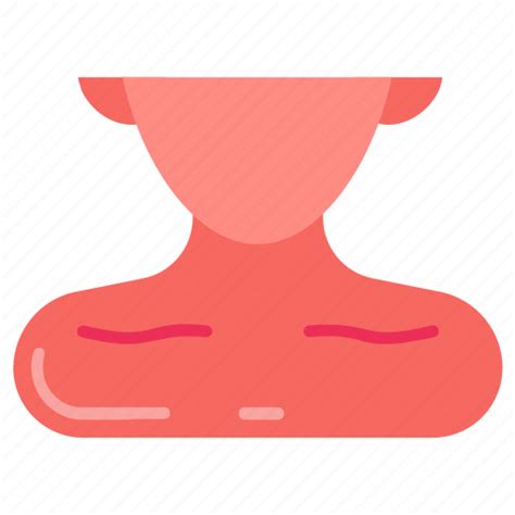 Neck Collar Bone Shoulder Muscles Throat Chin Icon Download On