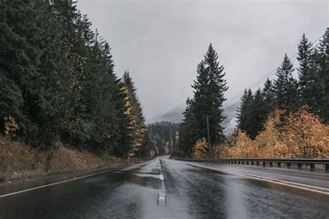 Find My Forks On Github Desktop Impactlity