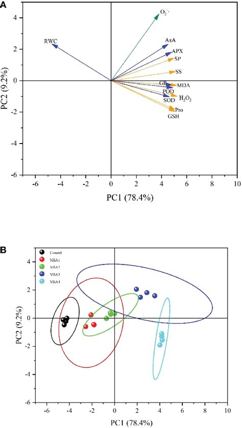 Principal Component Analysis Of The Measured Parameters A