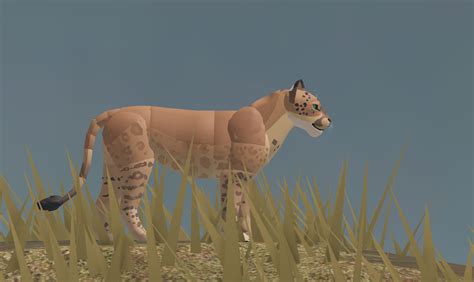 Lion Morph In 2023 Warrior Cat Oc Warrior Cat Warrior Cats
