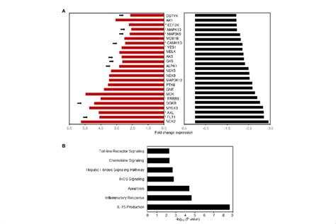 Potential Protein Kinase Signaling Pathways Regulating Expression Of
