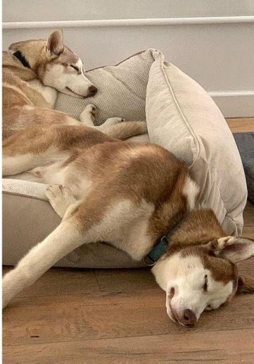 ۶ حقیقت جالب و باورنکردنی درباره دی کاپریو