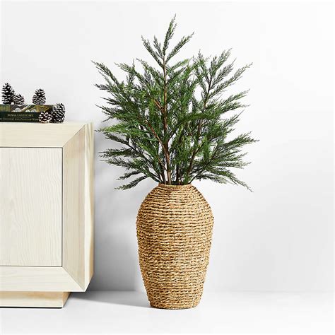 Extra Large Faux Cypress Tree Stem 45 Crate And Barrel Canada