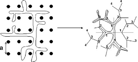 Cayley Tree Mapping For A Ring Polymer Download Scientific Diagram