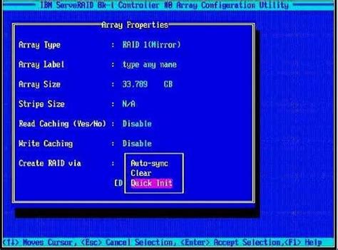 服务器raid配置详解array Label Csdn博客