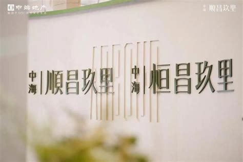 黄浦新天地全新住宅！【中海·顺昌玖里】平层别墅全套户型图 知乎