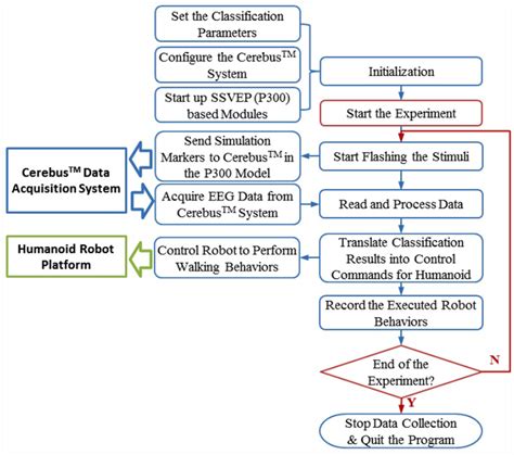 Procedure For The Evaluation Of The Performance Of The Ssvep And P300