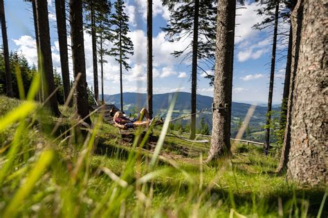 9 Tipps Für Schlechtwetterprogramm Mit Kindern In Österreich 1000things