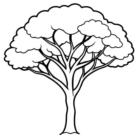 Jacaranda Tree Outline Coloring Book Page Line Art Drawing Premium Ai Generated Vector