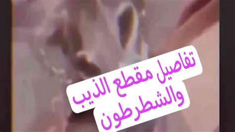 التفاصيل الكاملة حول مقطع الذيب وراعي الغنم Youtube