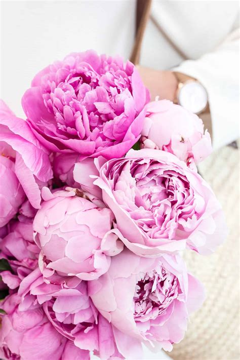 Pink Peony And Rose Bouquet