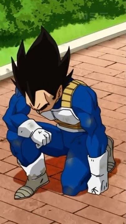I Kneel I Kneel Kneeling Vegeta Know Your Meme