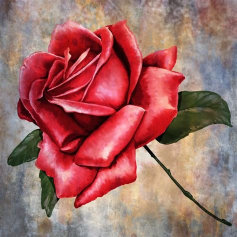 Pin De Natalie Laureano En Beautiful Red Roses Dark Bright And Light