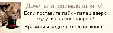 Катастрофа произошедшая более 70 тысяч лет назад и коренным образом изменившая историю