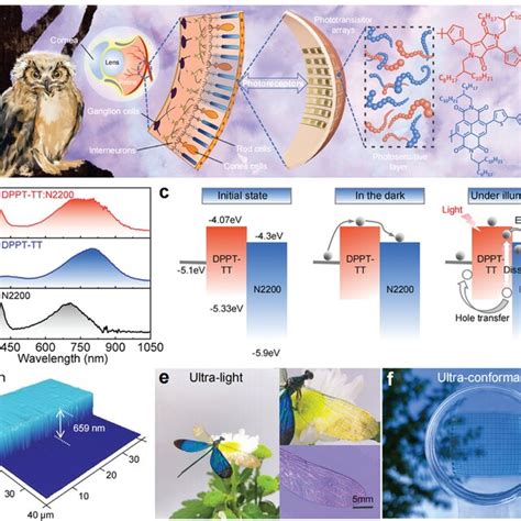 High Sensitivity Nir Ultraflexible Pts Array As Inspired By The Owl