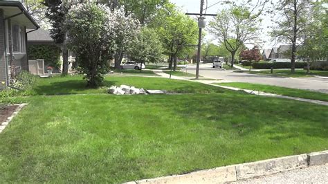 Overseeding A Lawn 4 Quick Tips Youtube
