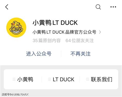 小黄鸭lt Duck头像丨新的一年，从换头像开始 搜狐大视野 搜狐新闻