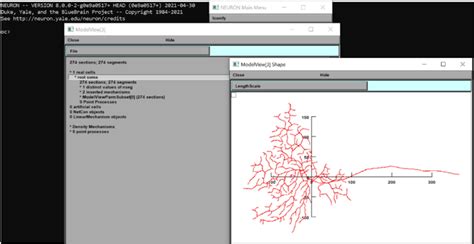 Computational Modeling Of Retinal Neurons For Visual Prosthesis