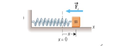 L Analisi Matematica E Le Sue Applicazioni MOTO ARMONICO