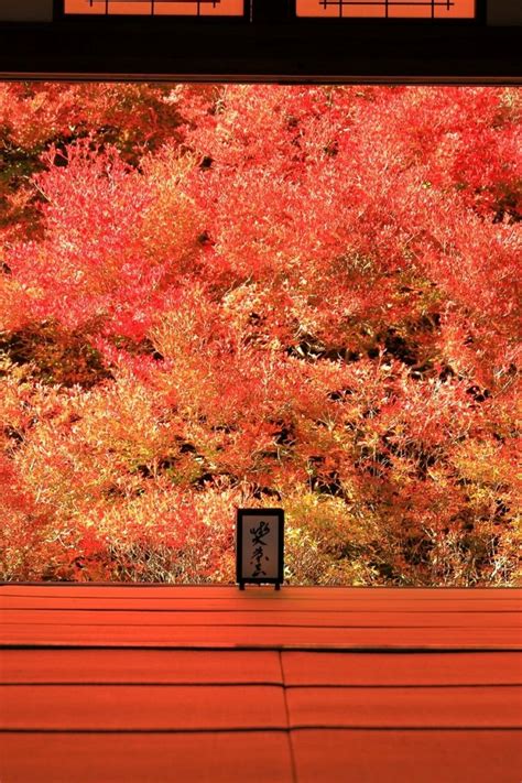ボード「 Japan Travel 」のピン