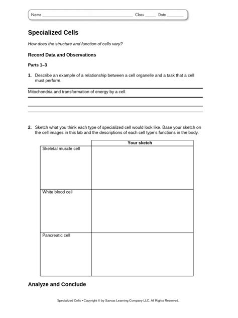 Bio Cell L02 Synth Interactivity Wks Pdf
