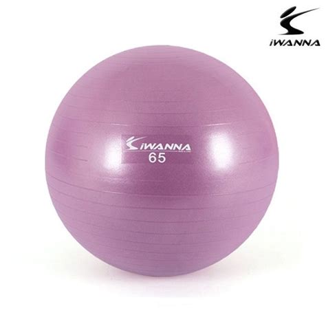 아이워너 짐볼 65cm 라일락 홈플러스 택배배송