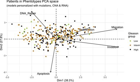 Patient Specific Boolean Models Of Signalling Networks Guide